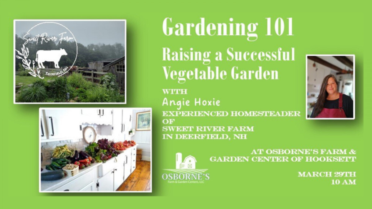 Gardening 101: Raising a Successful Vegetable Garden - Concord, NH - Hooksett, NH - Belmont, NH ...