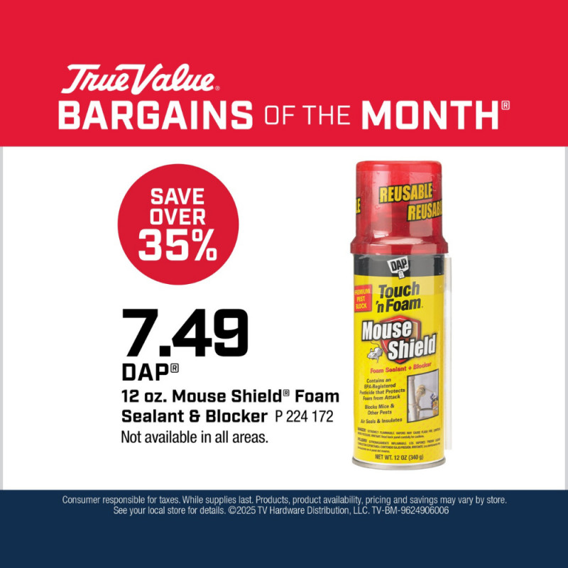 DAP® 12 oz. Mouse Shield® Foam Sealant & Blocker $7.49 - Princeton, MN ...