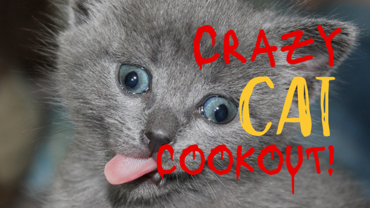 Crazy Cat Cookout! — Concord Pet Foods & Supplies| Delaware ...