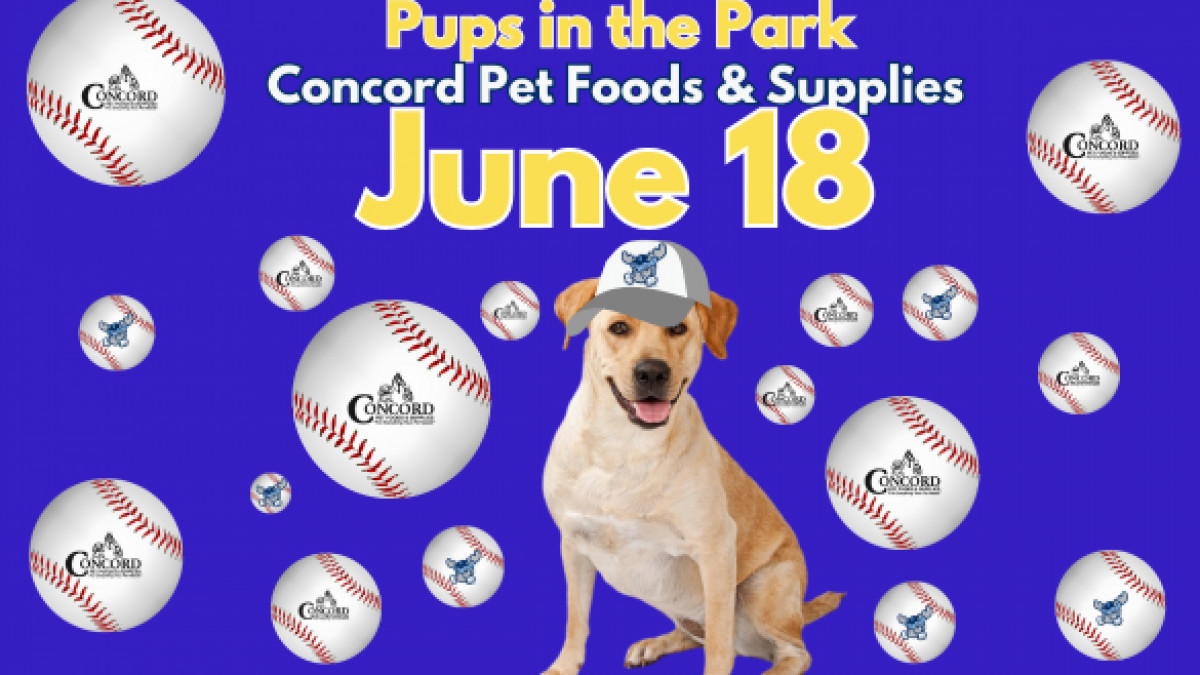 Concord Pet Presents Pups in the Park at Blue Rocks Stadium — Concord ...