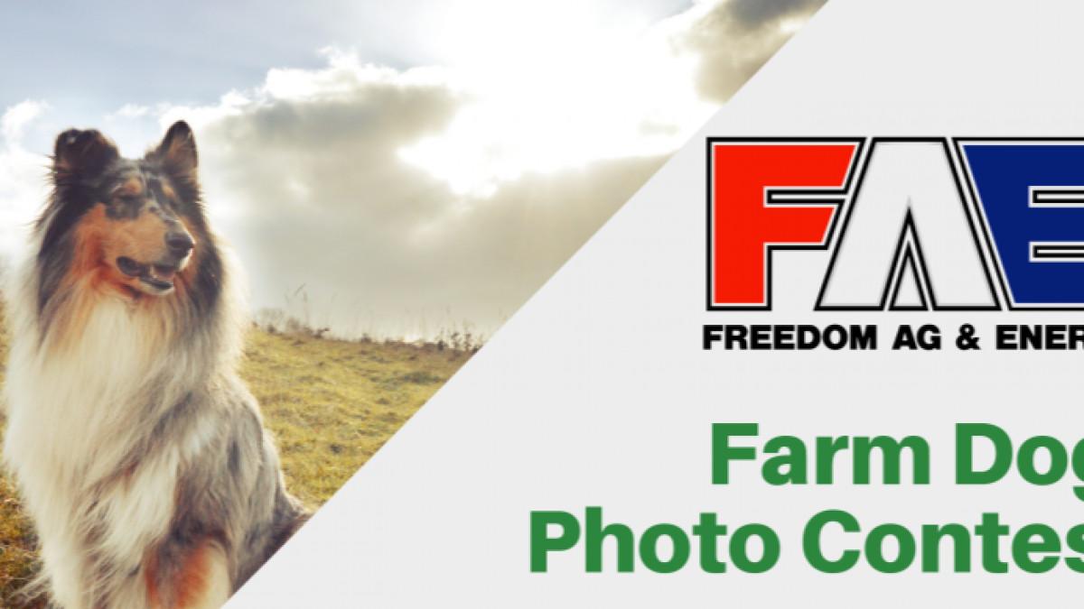 Farm Dog Photo Contest! - Virginia - Maryland - West Virginia - Freedom ...